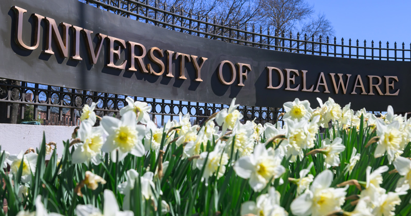 UD ranked as a top global university | UD College of Engineering